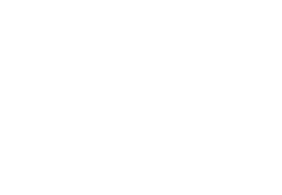 MT Displays - The World's Leading Display Units ...